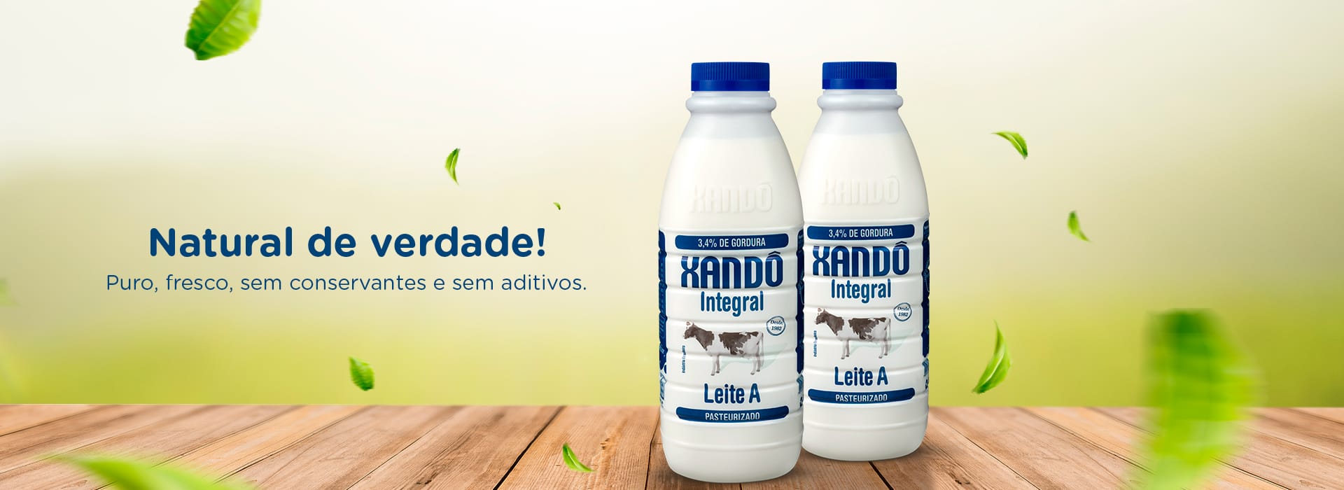 Xandô | Você + saudável!