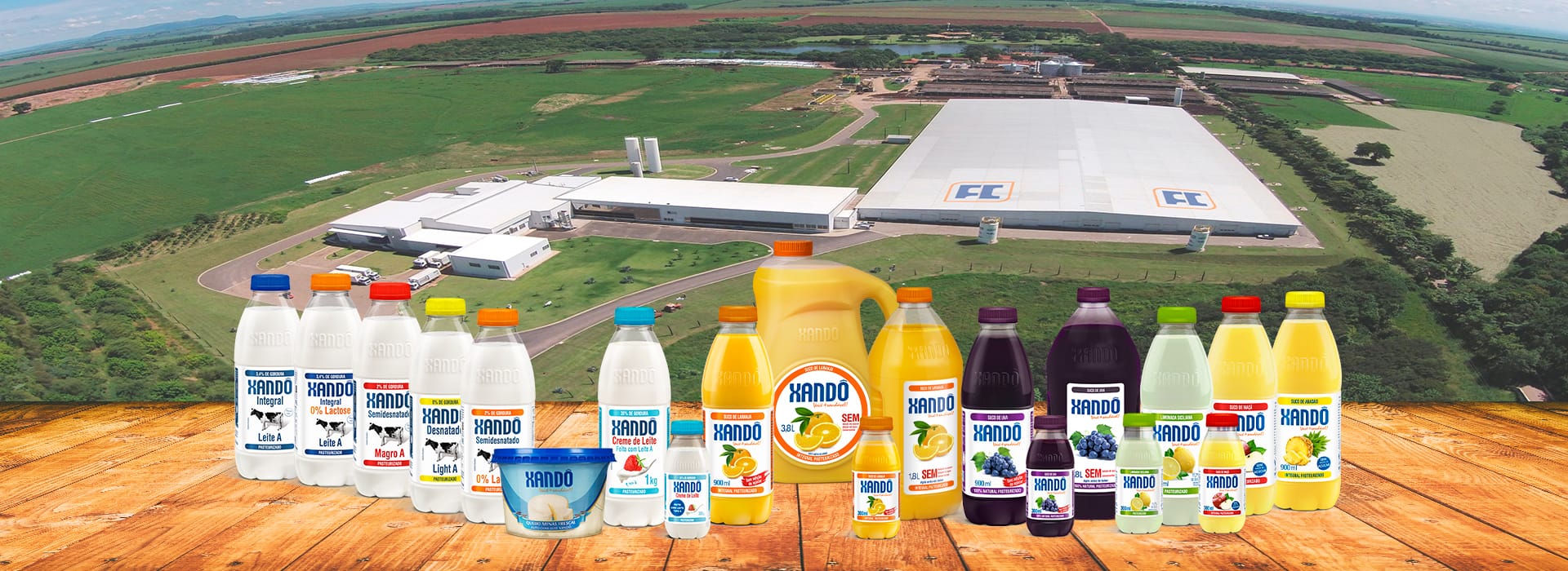 Xandô | Você + saudável!