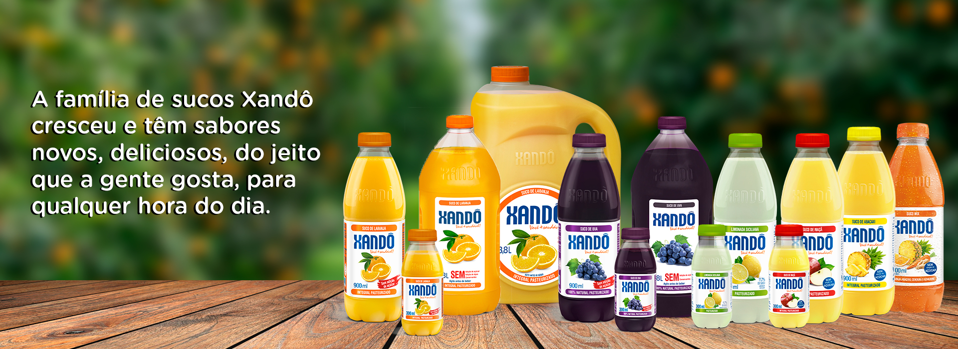 Xandô | Você + saudável!
