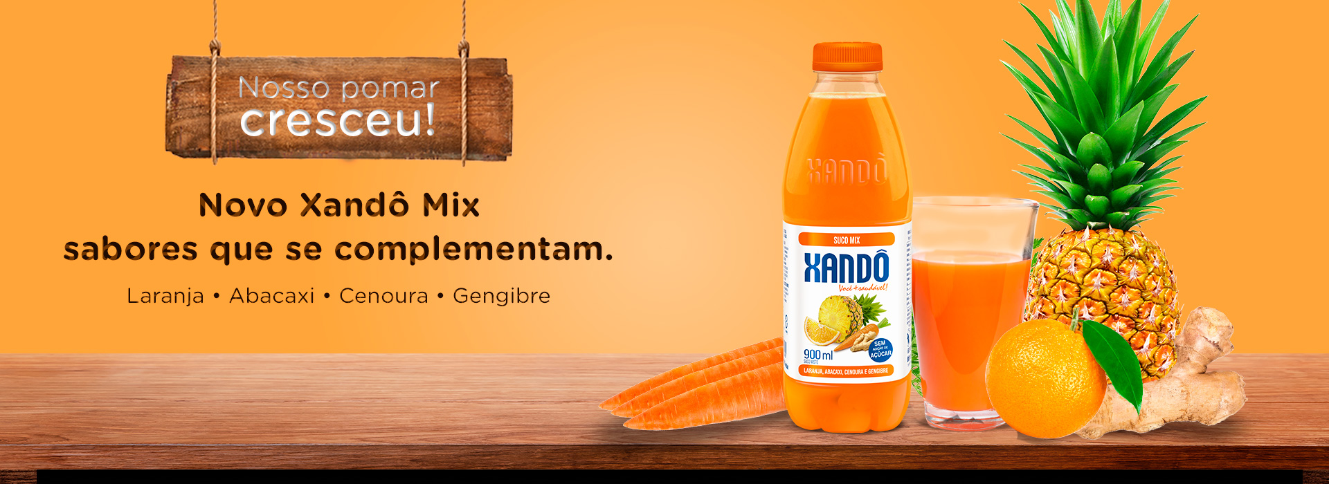 Xandô | Você + saudável!