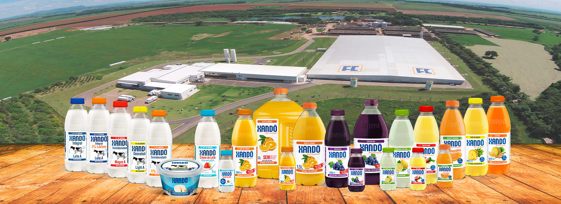 Xandô | Você + saudável!